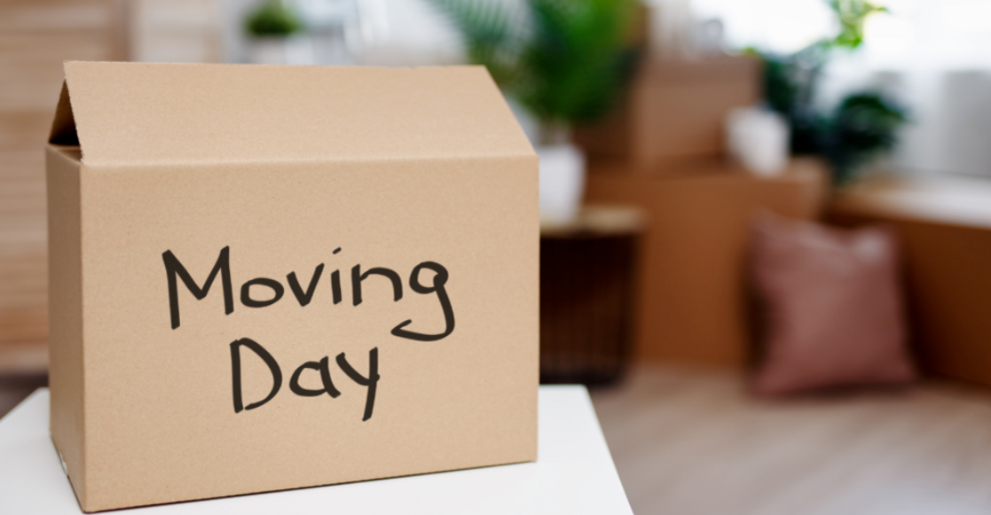 Moving Day Timeline: What to Expect from Start to Finish